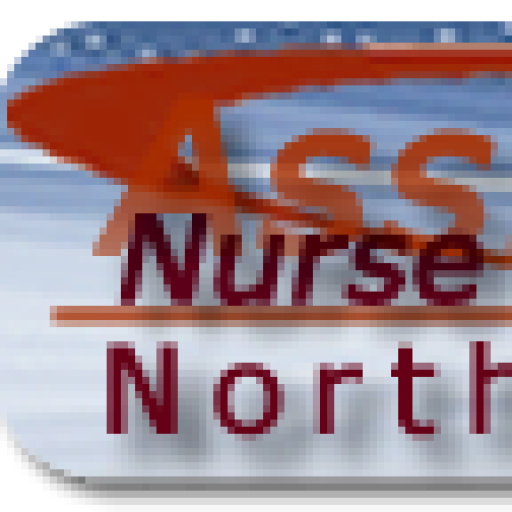 cropped-logo-1.png | North Star Training Institute